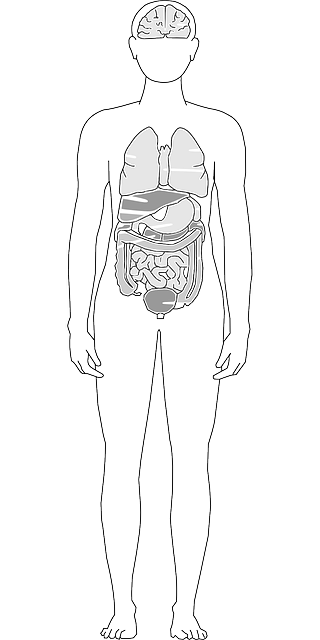 How Much Does a Kidney Transplant Cost? - Iran Kidney Center